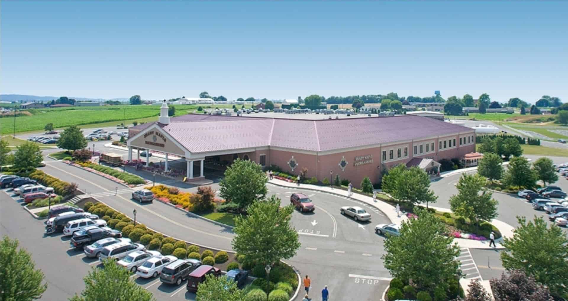 Shady Maple Information