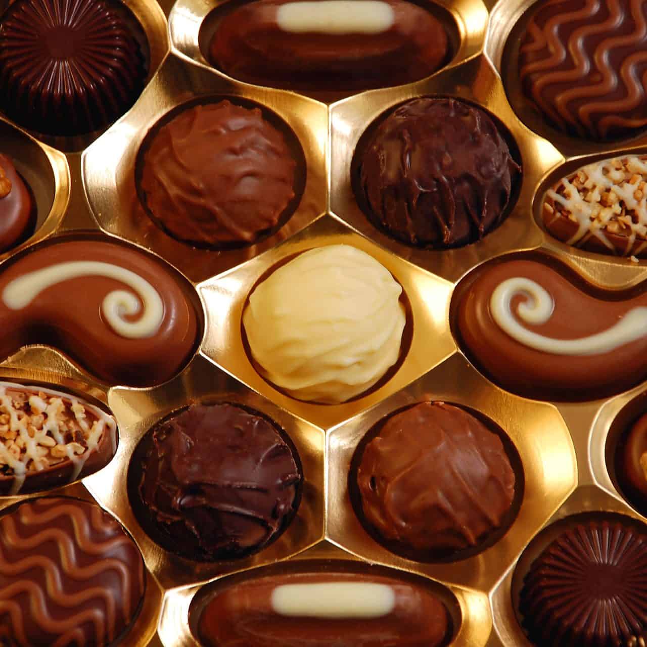 Shady Maple Gift Shop