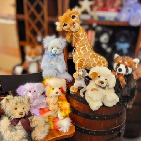 Shady Maple Information