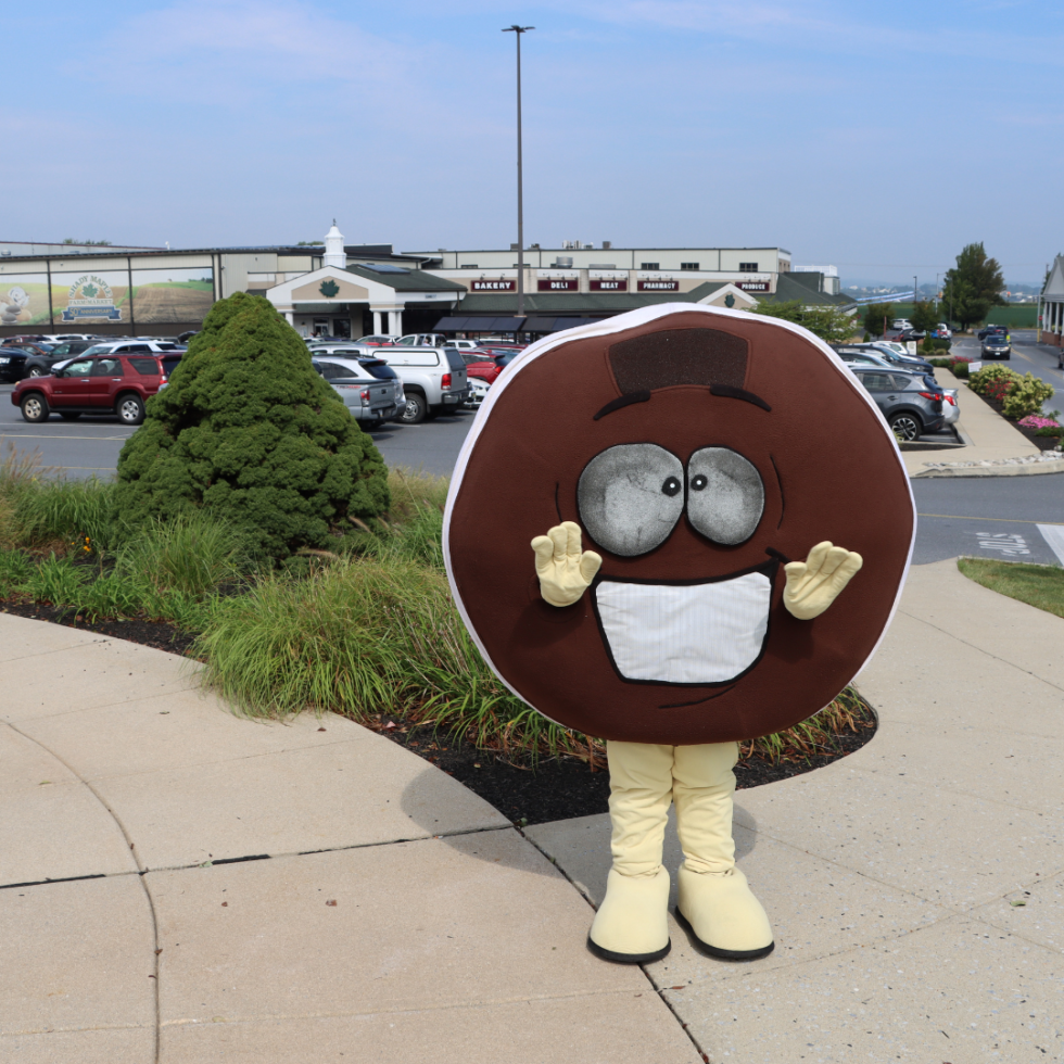 Shady Maple Information