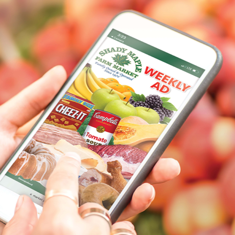 Shady Maple Information