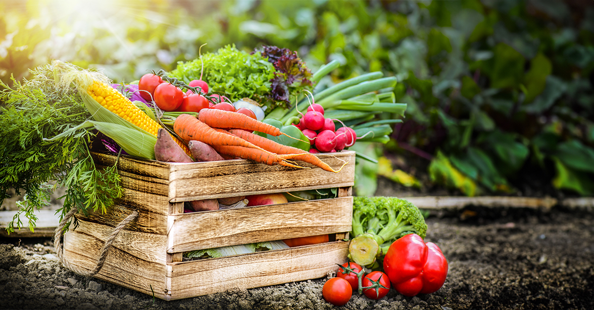 Shady Maple Farm Market