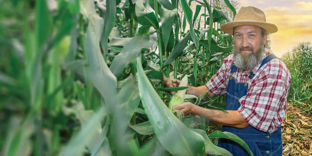 The Benefits of Shopping Local: Why Choose Shady Maple | Shady Maple