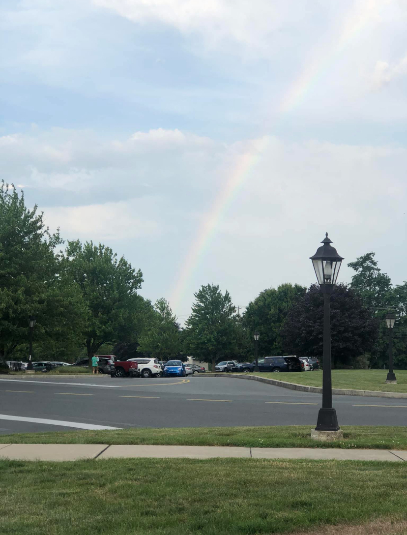 Valerie M. | Shady Maple