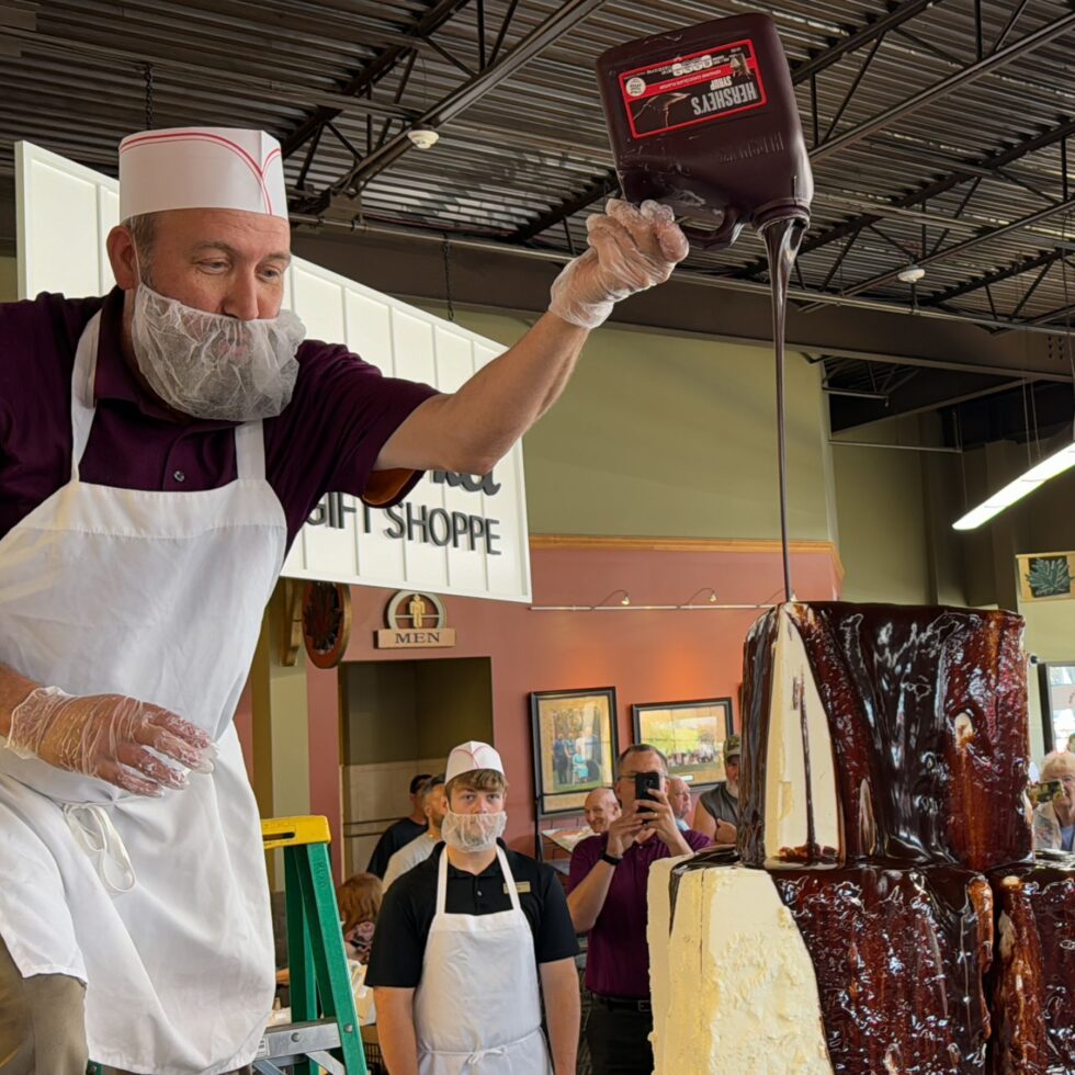 Plan Your Shady Maple Trip