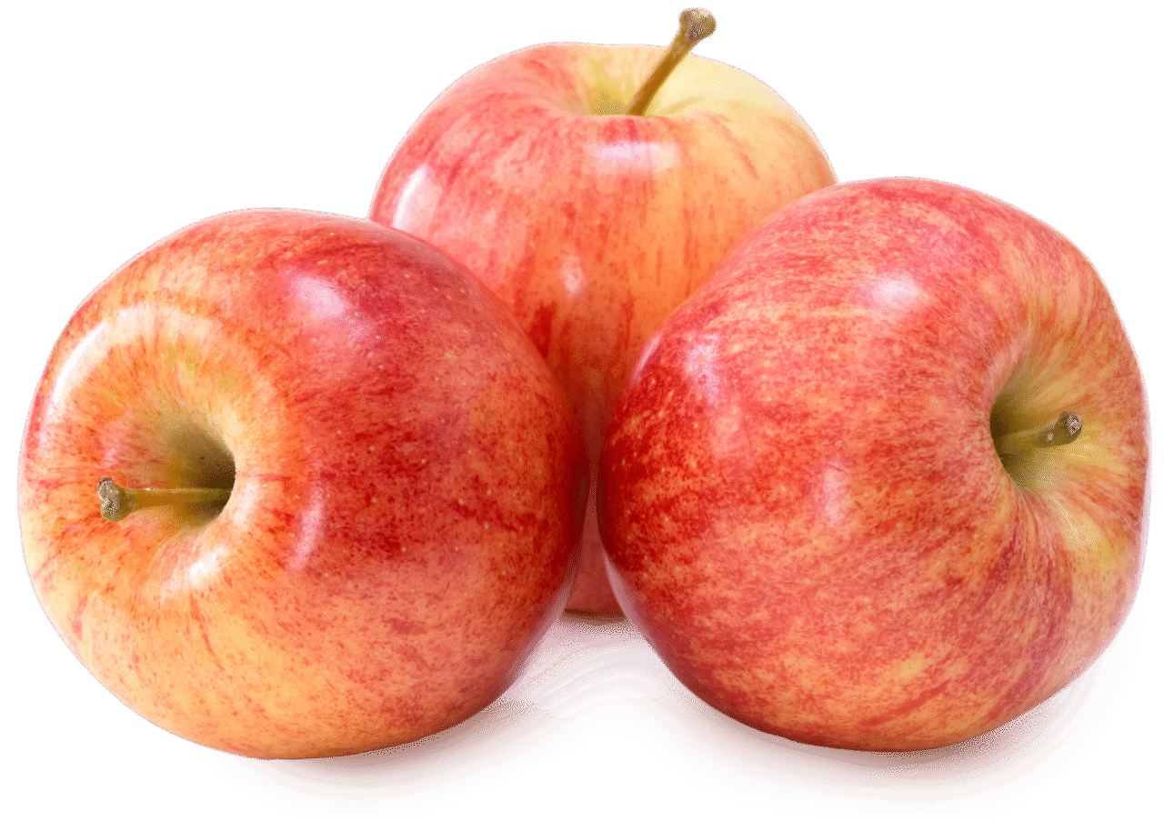 Apple Week | Shady Maple