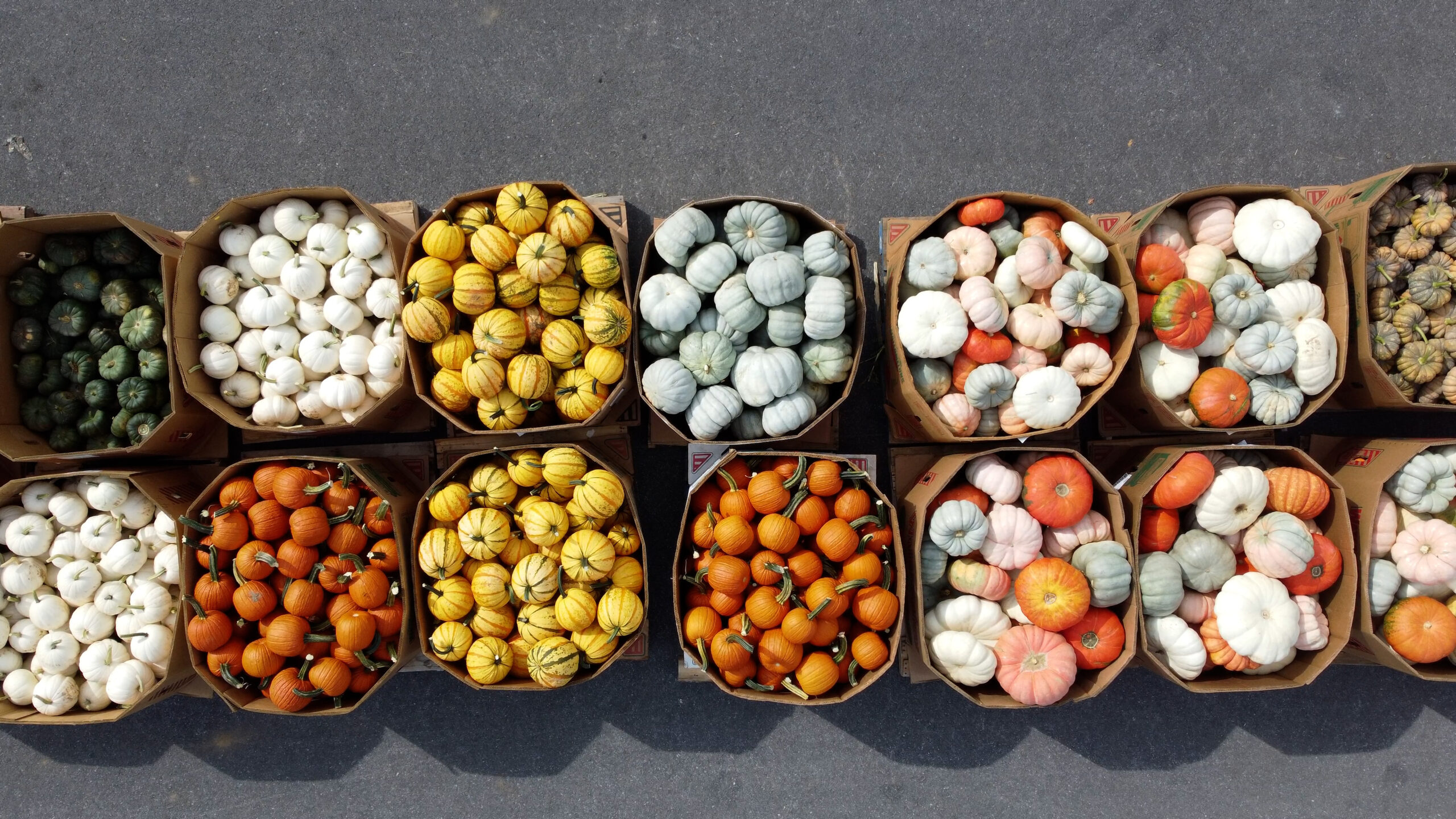 Fresh Fall Lancaster County Produce at Shady Maple Farm Market
